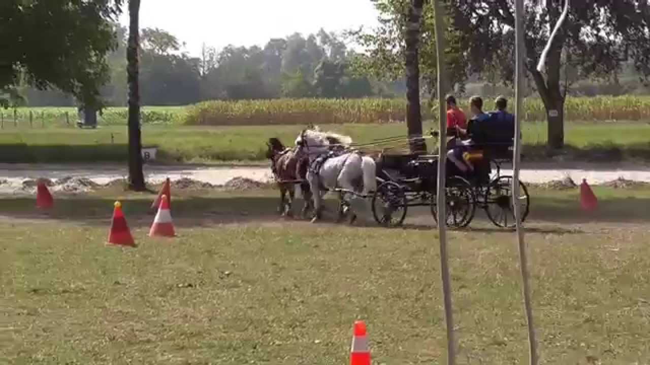 Yannick Scherrer Kegelfahren Training 2 - YouTube