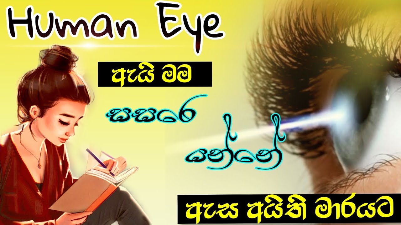 මිනිස් ඇස හා සසර |ඇස ගැන දැනගමු |human eye |ඇයි මම සසරෙ යන්නේ sambola ...