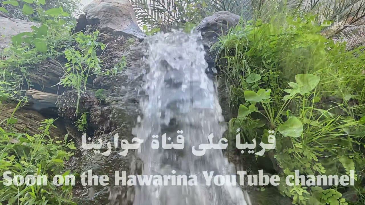 قريباً مندوس عُمان وادي السحتن (عمق) Soon Mandoos Oman Wadi Sahtan (Amq ...