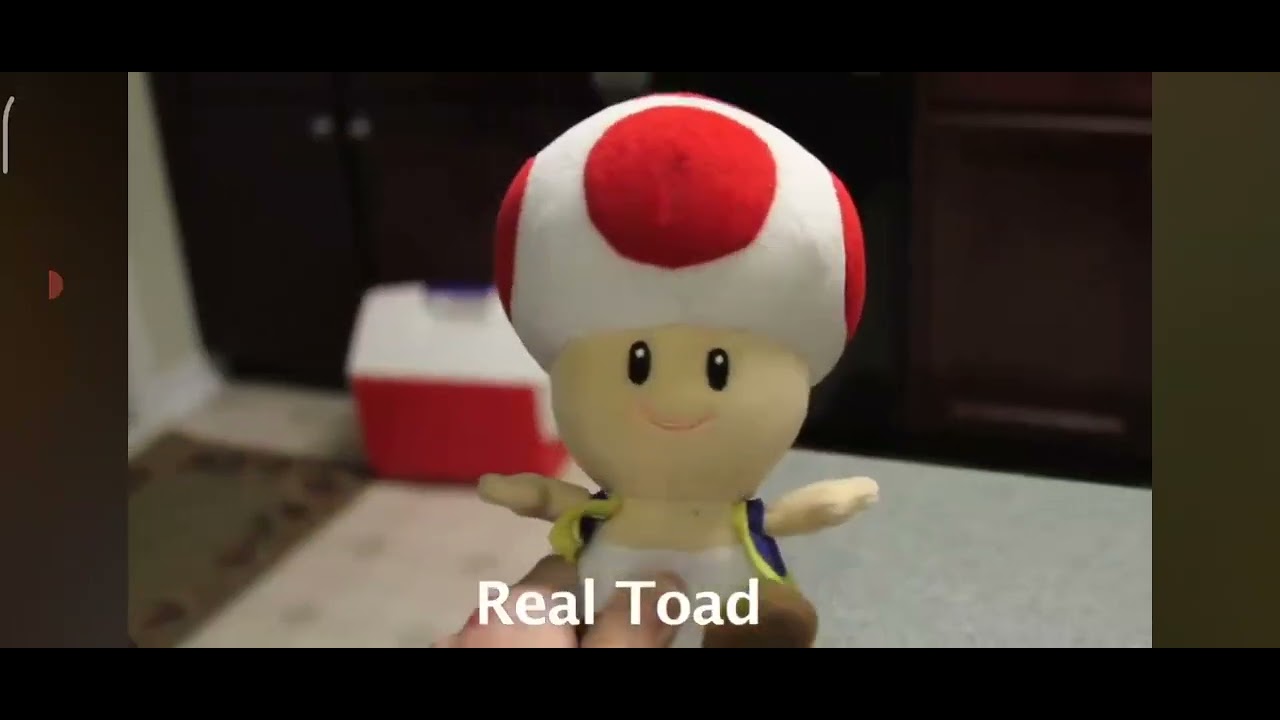 all toad/lil t deaths in sml - YouTube