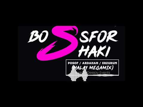 POSOF/ARDAHAN 6/8 HALAY - MEGAMİX 2020