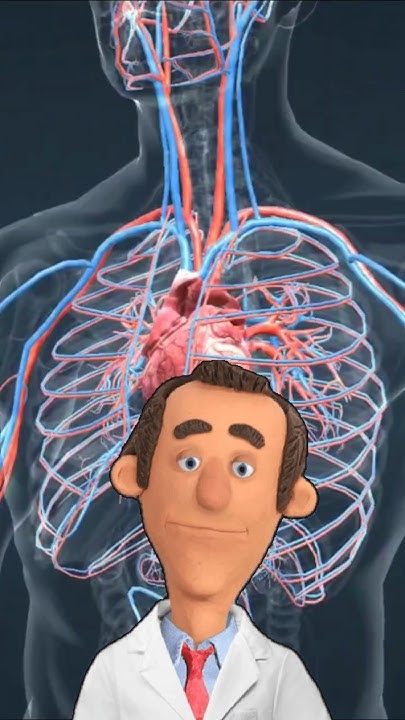 What Happens During HEART ATTACK! 🤯 #shorts #animation #science - YouTube