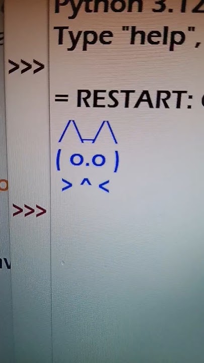 how to draw cat Python - YouTube