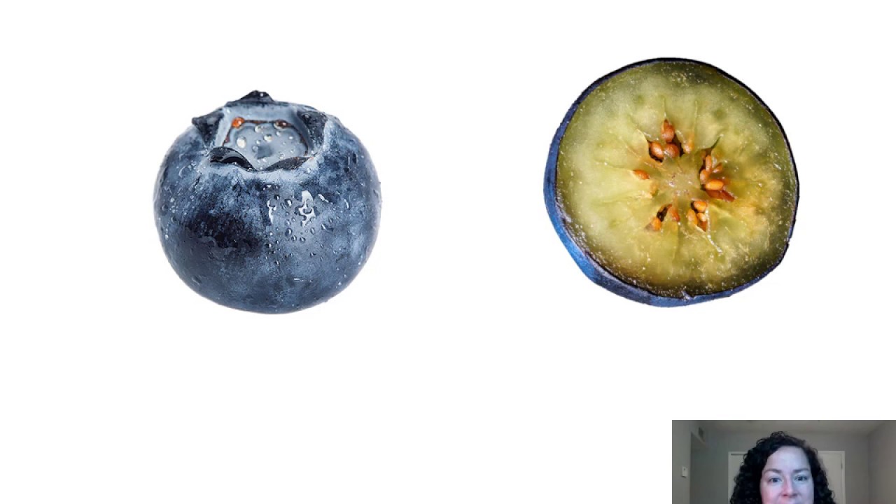 The inside and outside of fruits - YouTube