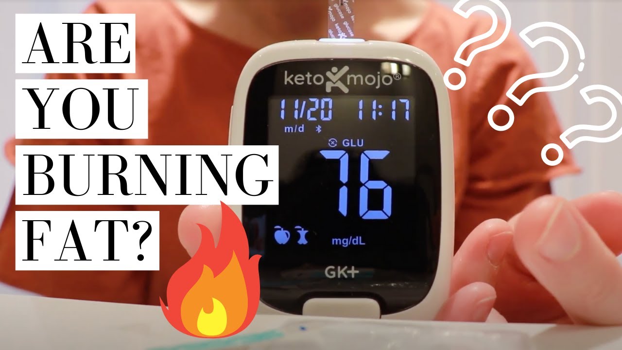How to Test Glucose and Ketones With the Keto Mojo Device - YouTube