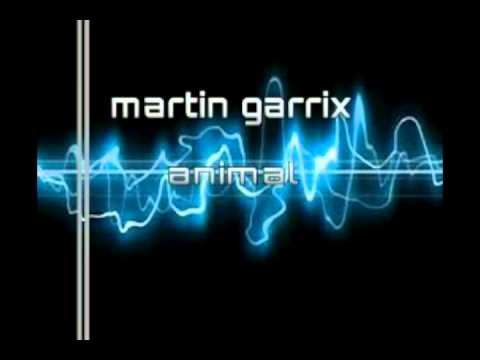 Martin garrix - animal - YouTube