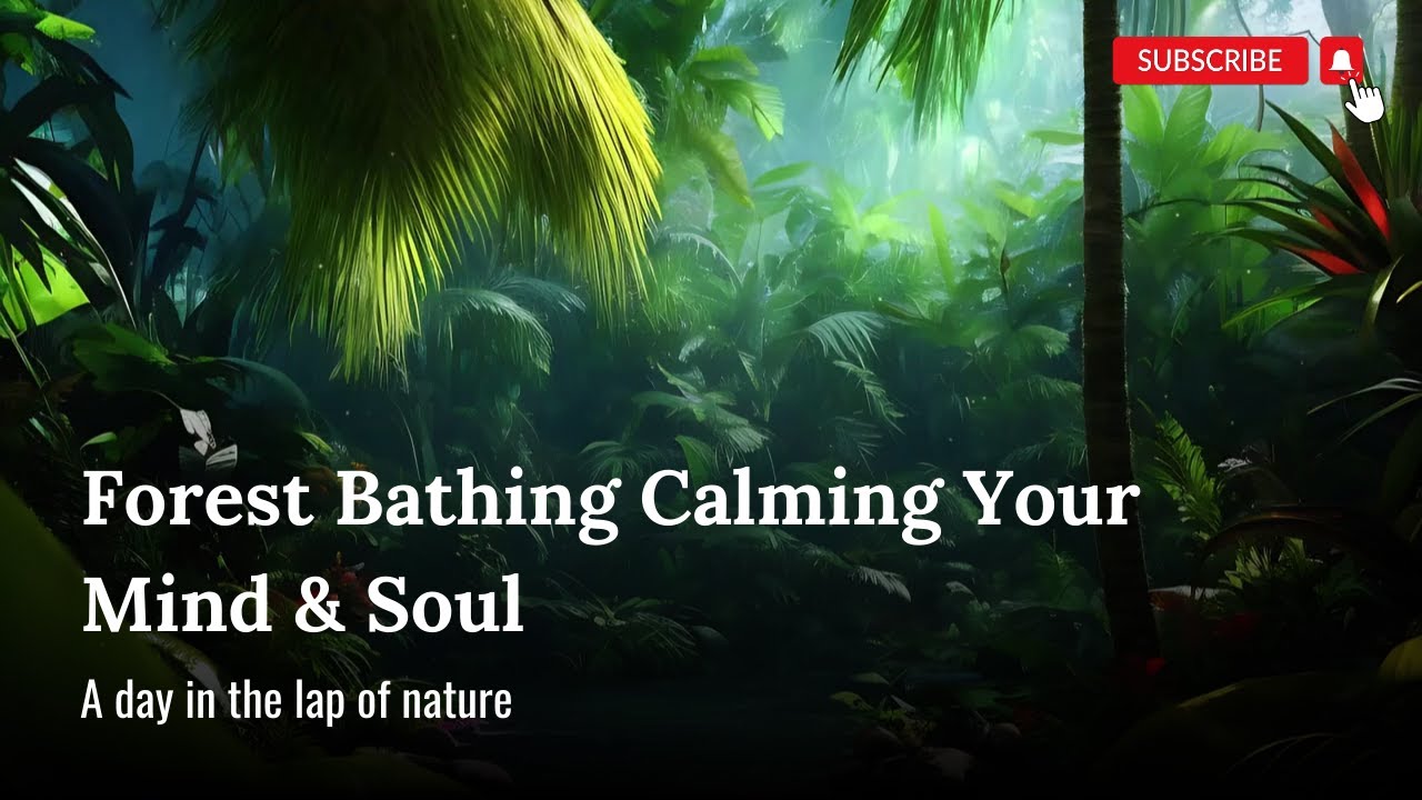 Forest Bathing Calming Your Mind & Soul | Green Animated Forest Nature ...
