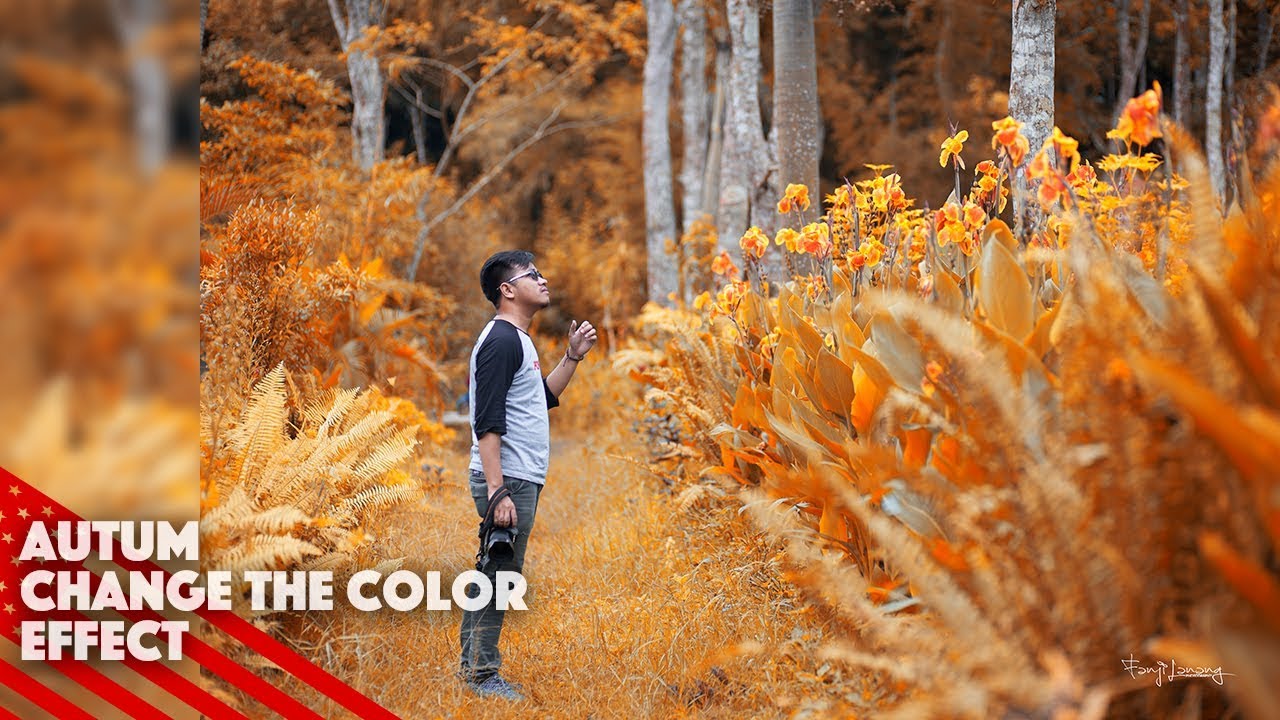 How To Change The Color Autumn Effect | Photoshop Tutorial - YouTube