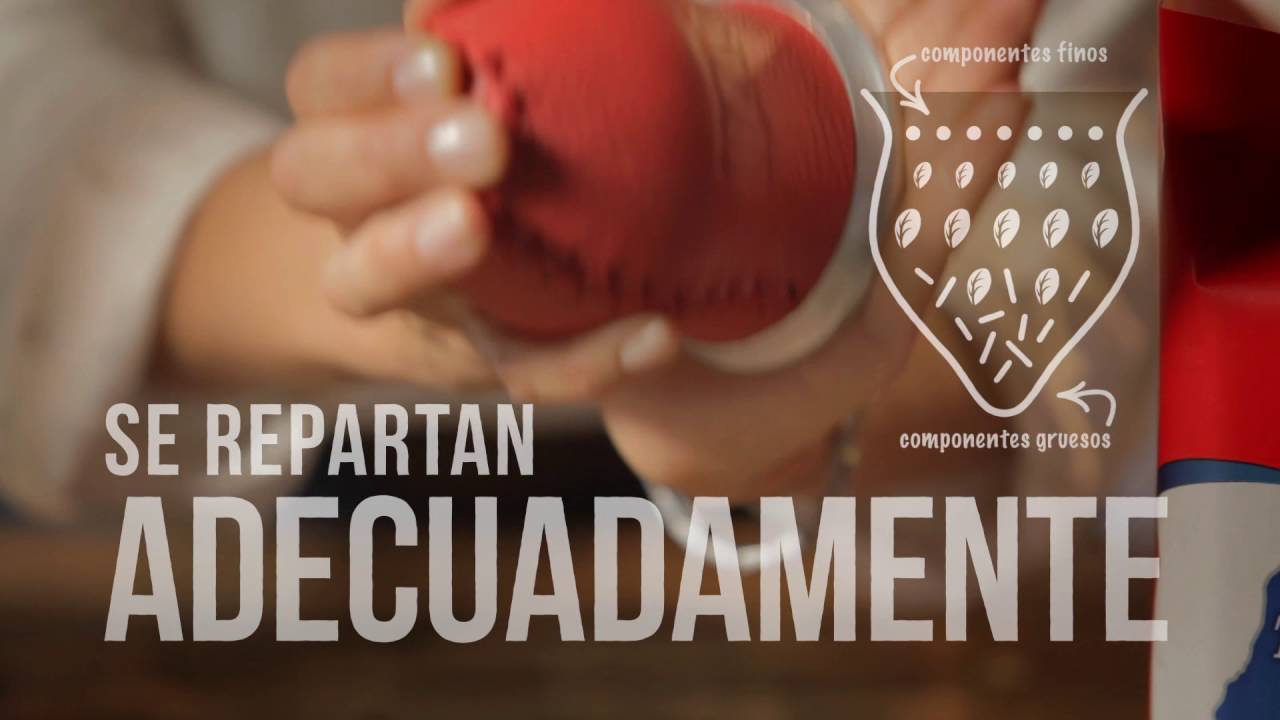 ¿Cómo cebar un buen mate en 5 pasos? - Yerba Mate Taragüi - YouTube