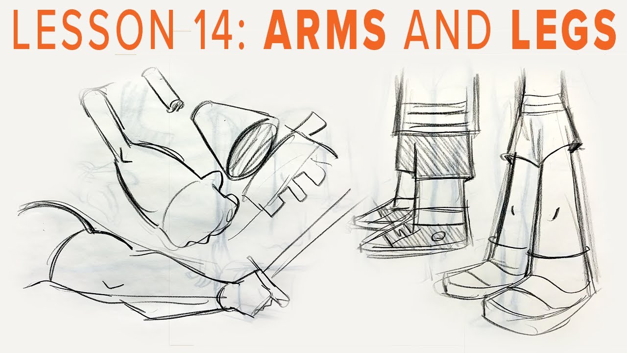 Learn to Draw Anatomy - Cartoon Arms and Legs - YouTube