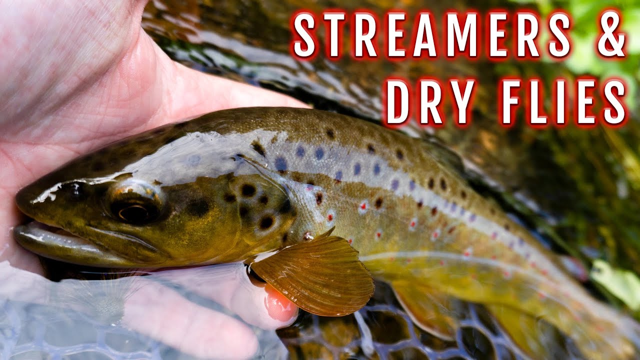 Streamers and Dry Flies on Two Different Small Streams - YouTube