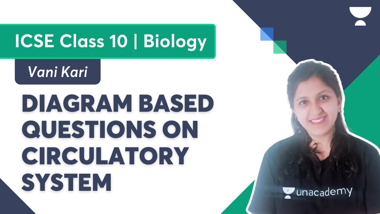 Diagram Based Questions on Circulatory System | Biology Class 10 | ICSE ...