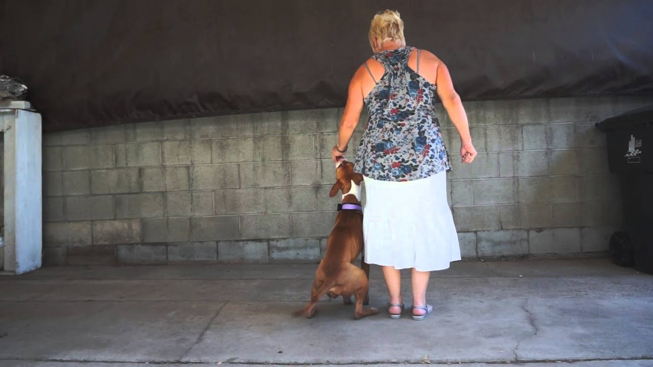 NALA - Day 22 - YouTube