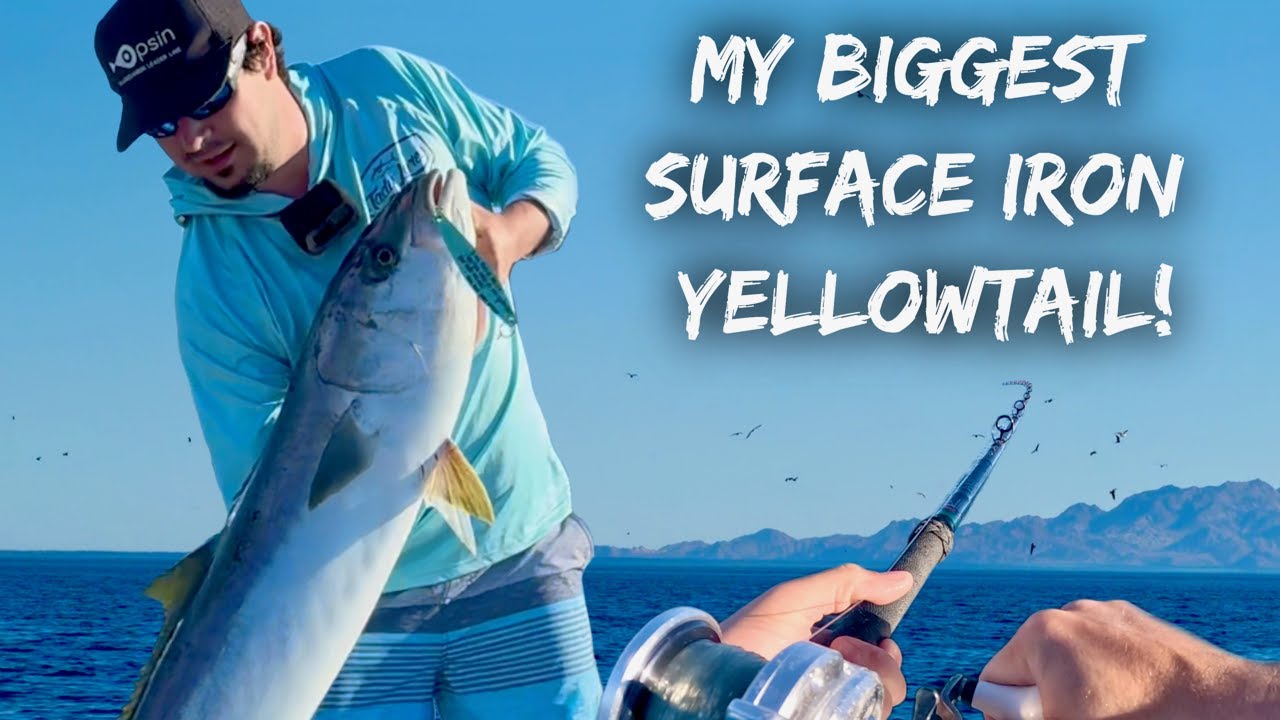 Ep. 3: Surface Iron Yellowtail | Run & Gun! - YouTube