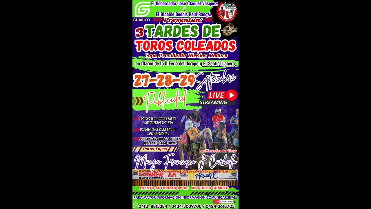 TARDES DE TOROS COLEADOS MERCEDES DEL LLANO (DIA 3) - YouTube