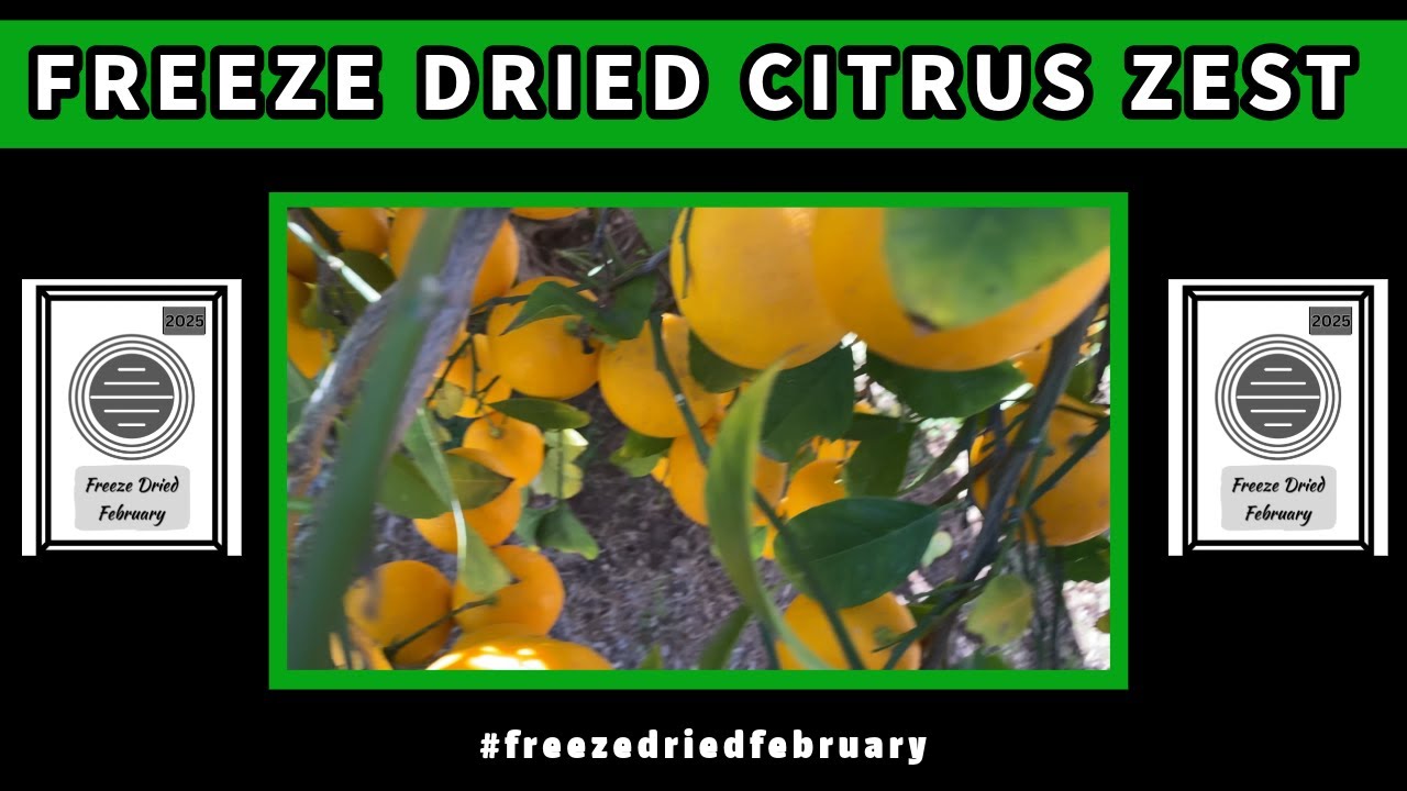 Freeze Dried Citrus Zest and Natural Homemade Cleaner # ...