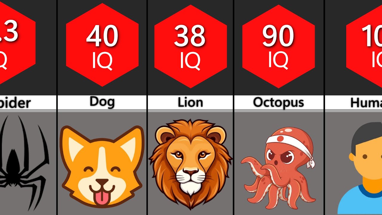 Animal Intelligence Ranked 🧠 Smartest Animals Compared - YouTube
