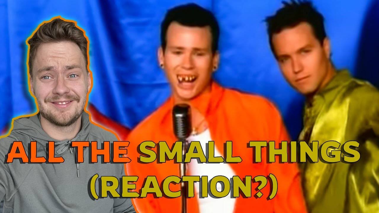 Is "All The Small Things" Still Good? (REACTION) - YouTube