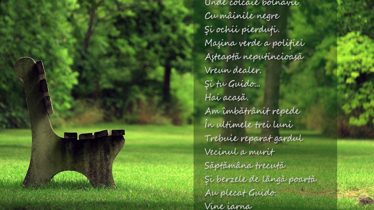 Guido, lasa parcul garii, Gabi Schuster - YouTube
