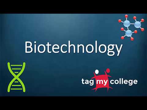 B.tech or B.Sc in Biotechnology - Scope and Difference | Biotechnology ...