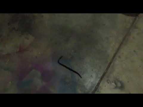 HL1 sound effects test - YouTube