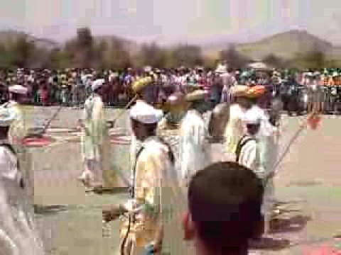 zaio zaio zaio 2008