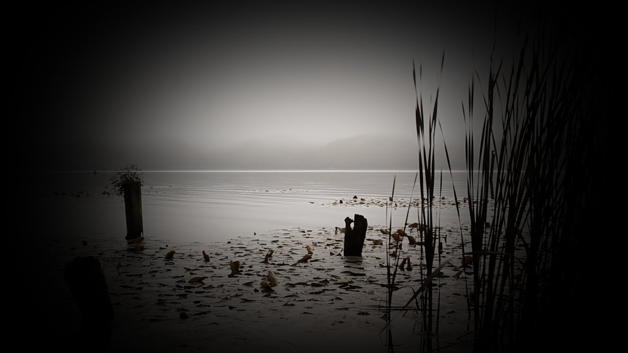 Tlooth "Too Calm" (Lyrics Video) - YouTube