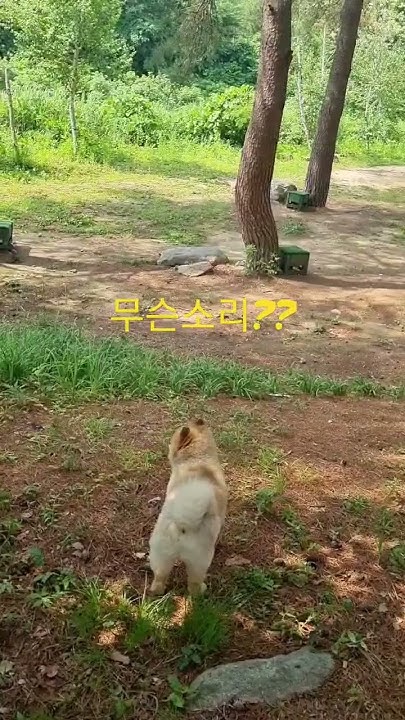 기분좋은산책 날씨좋아 강릉 할머니집 Youtube