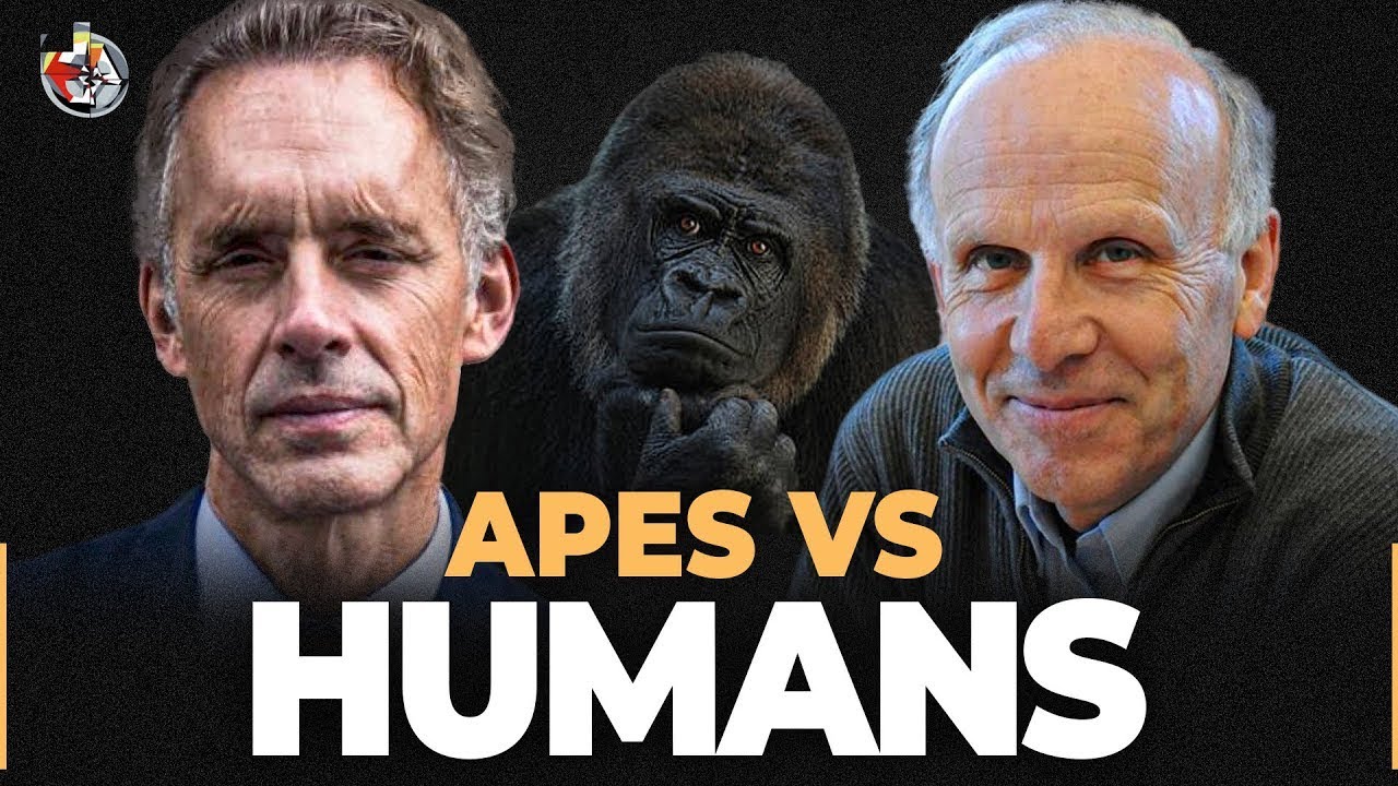 Primatologist Explains the 1% Difference Between Humans & Apes - YouTube