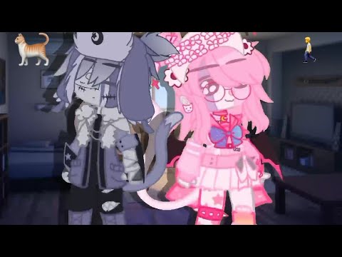 𝙲𝚊𝚝🐈 𝚘𝚛 𝚑𝚞𝚖𝚊𝚗🚶[]|•|[]𝚖𝚎𝚖𝚎[]|•|[]𝚂𝚊𝚛𝚟𝚎𝚗𝚝 𝚡 𝚁𝚞𝚟[]|•|[]𝙵𝙽𝙵[]|•|[]𝙶𝚊𝚌𝚑𝚊 ...