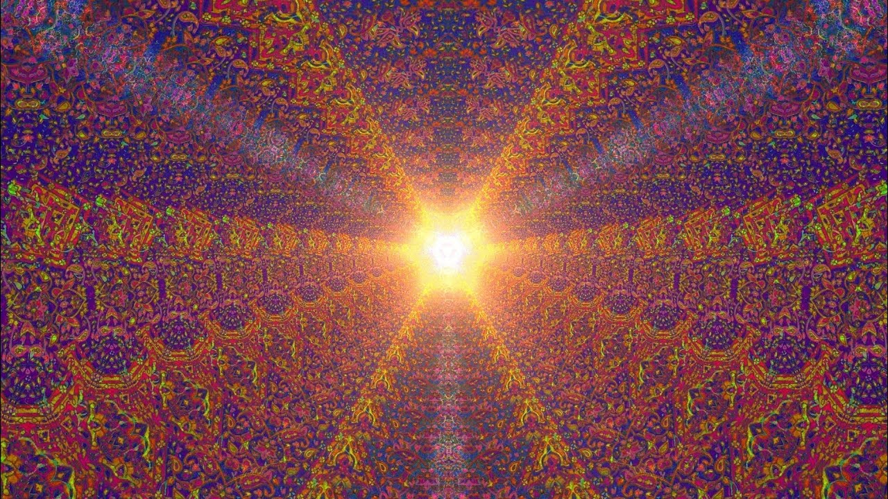 DMT Trip in The Woods 4K - YouTube