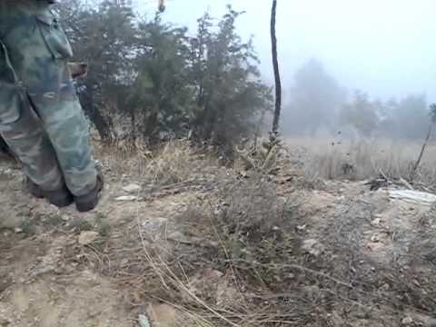 ΚΥΝΗΓΙ ΛΑΓΟΥ ΚΑΣΤΟΡΙΑ - YouTube