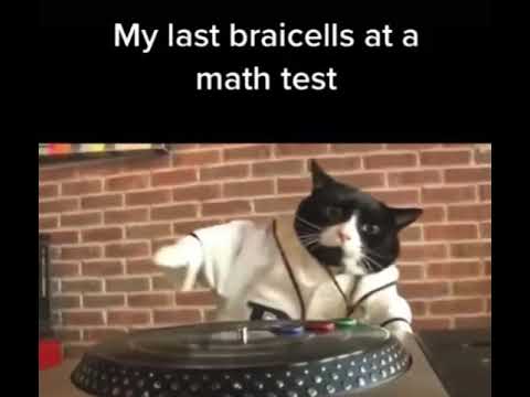 The Final Brain Cell Cat Version... - YouTube