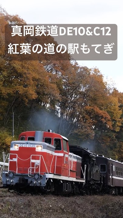 4Kshorts 真岡鉄道 DE10+C12「感動体験列車」紅葉の道の駅もてぎ [Moka railway] Steam locomotive C12 + Diesel DE10 "SL ...