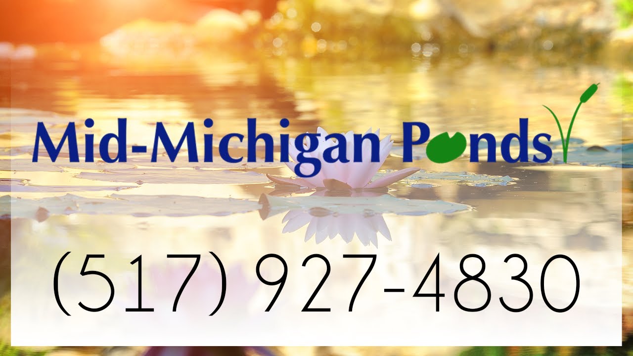 Mid-Michigan Ponds Dewitt MI - YouTube