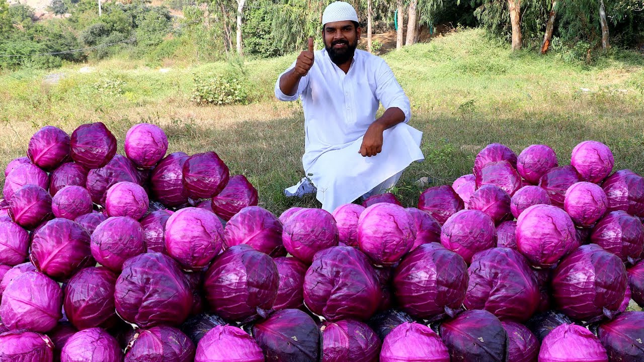 MUTTON CABBAGE RECIPE | Pink Cabbage With Mutton/First Time On YouTube ...