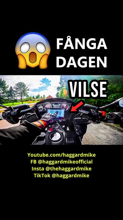 Ugglor in the moss - YouTube