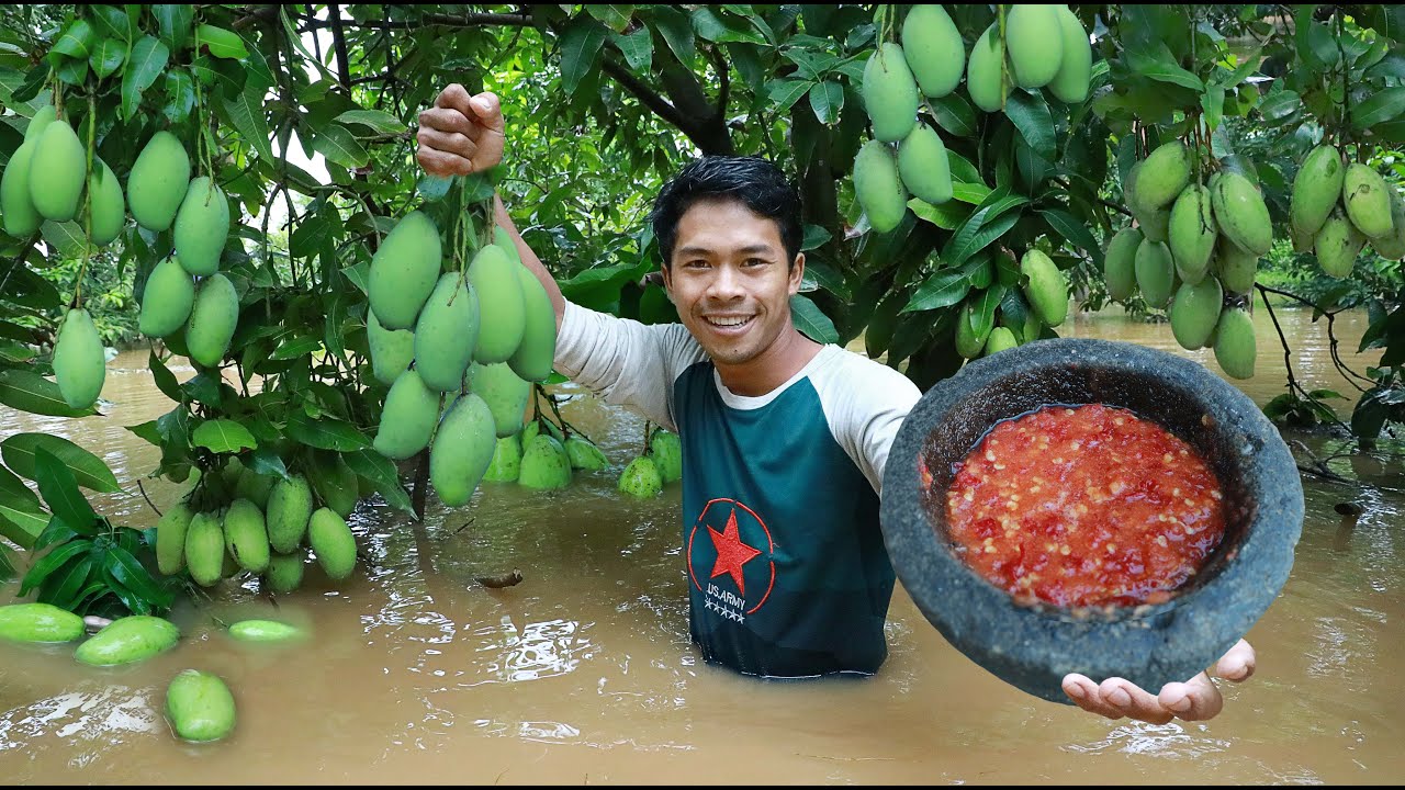 wow mouth watering - Eating mangoes during the flood season is really ...