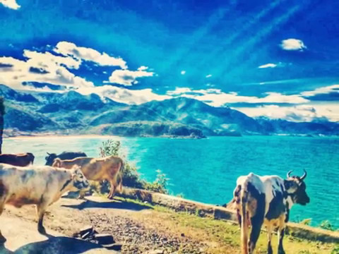 Les aftis jijel #2 photos dépanoroma