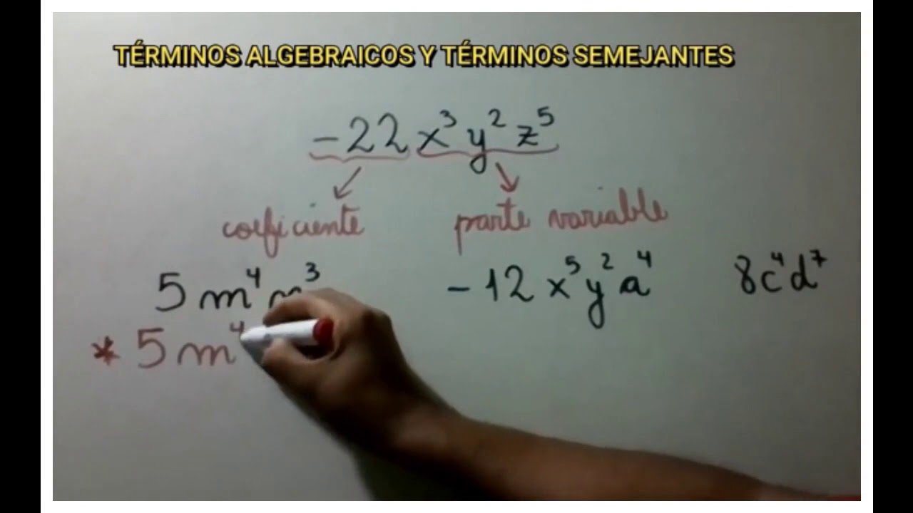 TÉRMINOS ALGEBRAICOS Y TÉRMINOS SEMEJANTES - YouTube