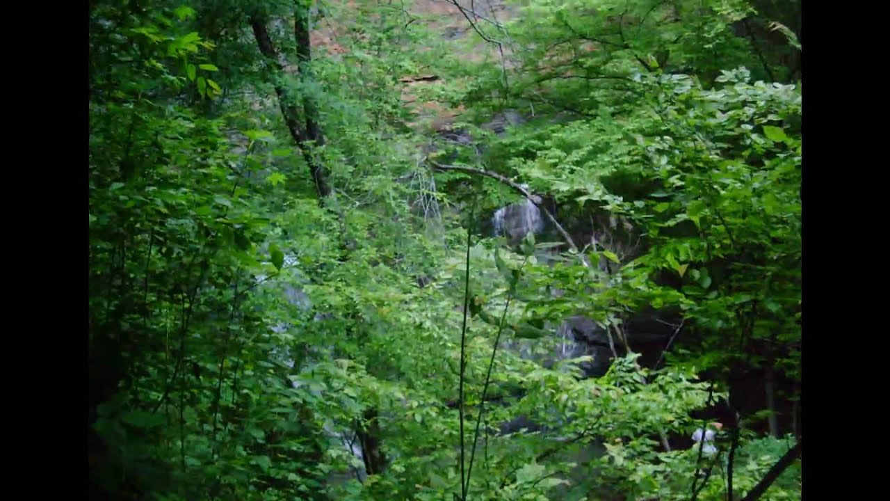 Spring Transition Time Lapse HD - YouTube