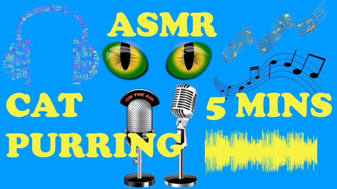 5 Minutes of Sweet Asmr Cat Purring Sound - YouTube