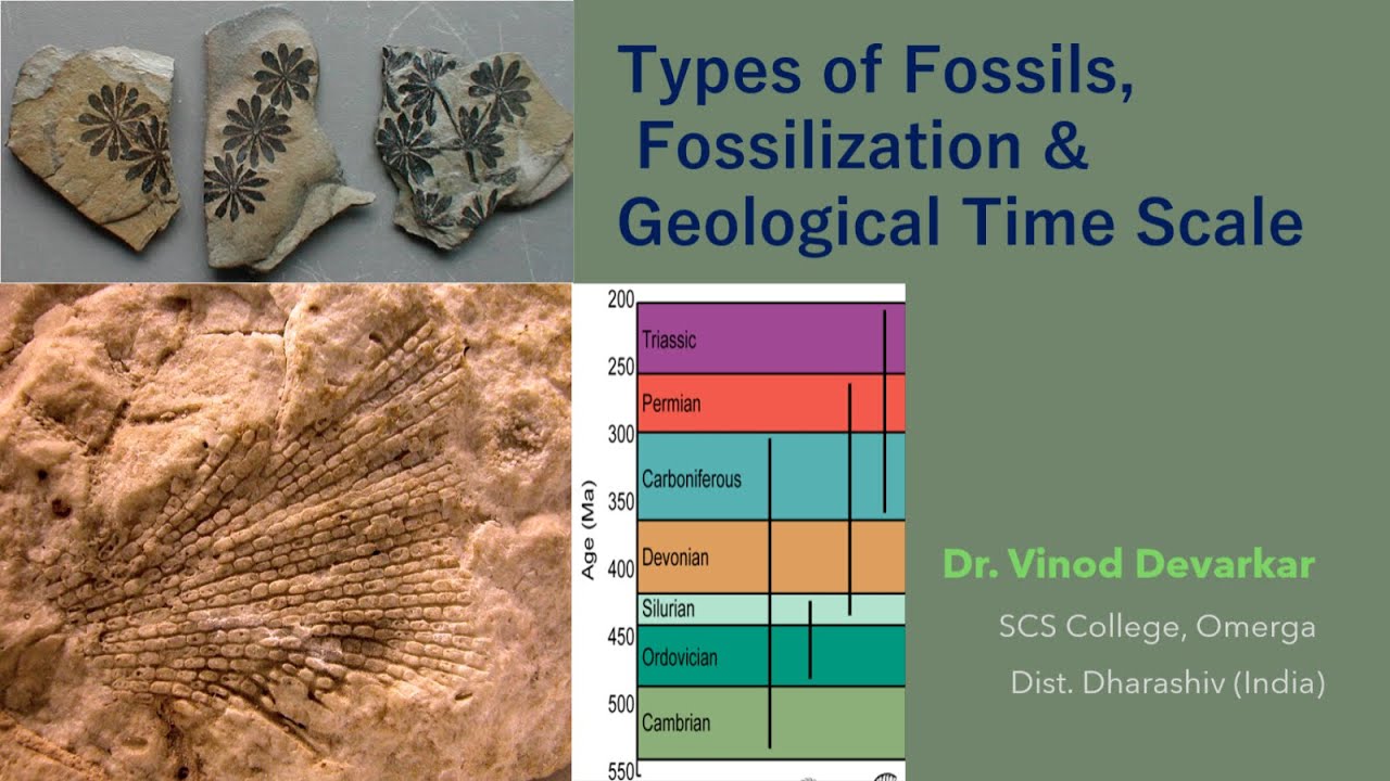 Geological Time Scale, Types of Fossils & Fossilization by Dr. V. D ...
