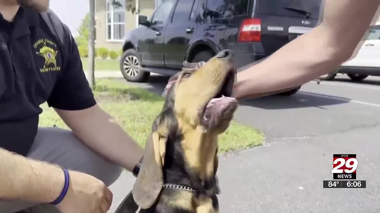 Orange County welcomes new K9, Kyro - YouTube