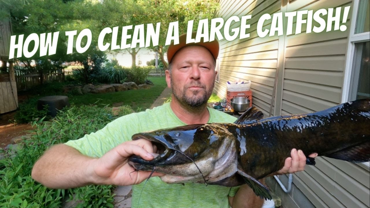 How to Clean a Large Catfish! - YouTube