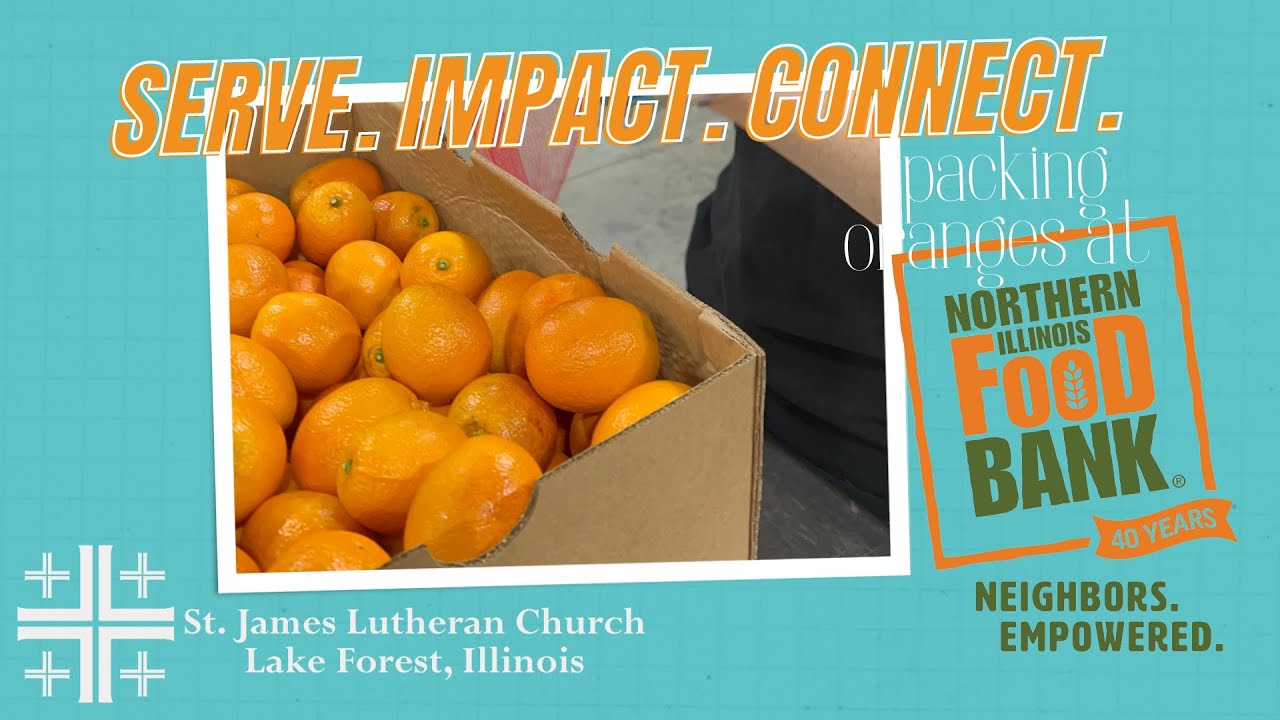 Serve. Impact. Connect. Packing Food at Northern Illinois Food Bank ...