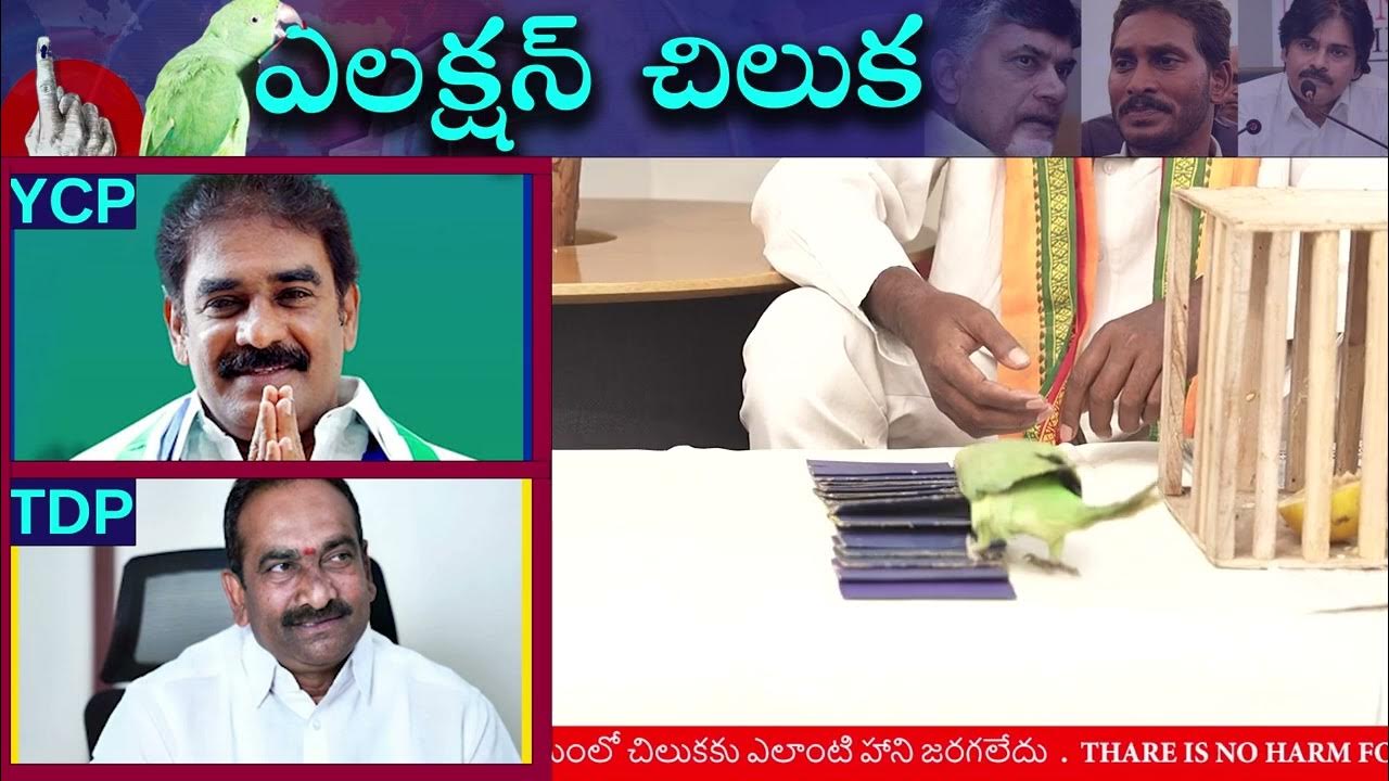 Macherla Assembly Constituency | Pinnelli Rama Krishna Reddy | Julakanti Brahmananda Reddy - YouTube