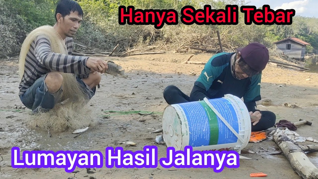Menjala Ikan di Tepi Danau || Sekali Tebar Hasilnya Lumayan - YouTube