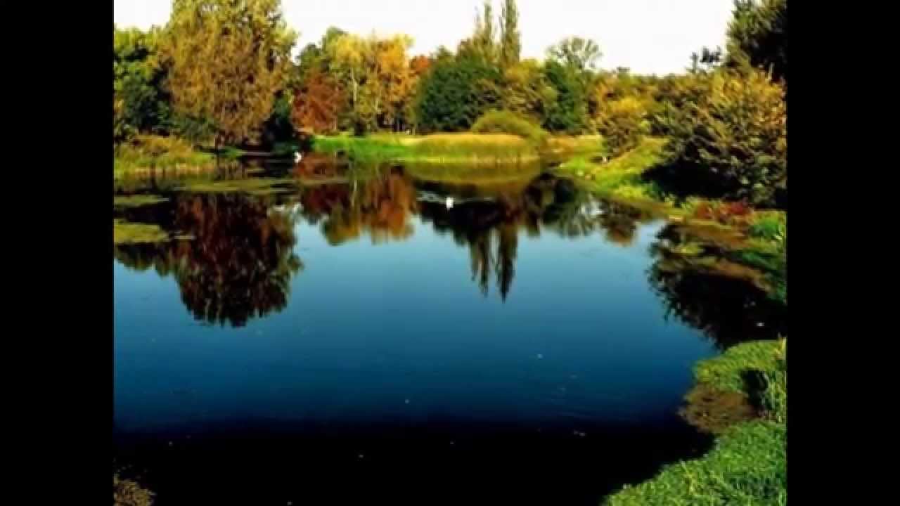 Grazus vaizdai - YouTube
