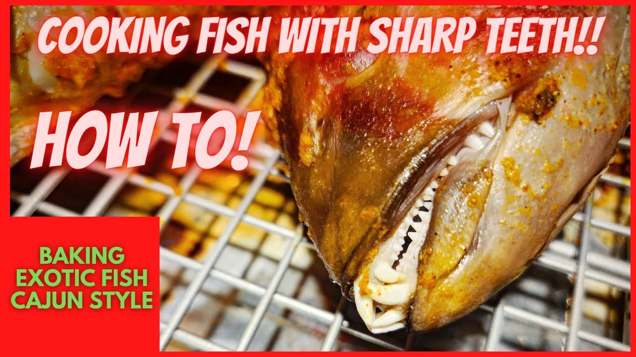 HOW TO GRILL PARROT FISH (UHU)!! - YouTube